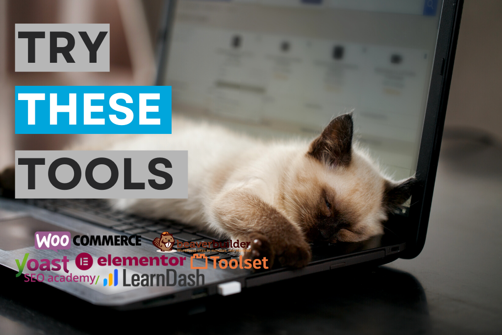 Our Favourite Website Themes – sociablemedia.co